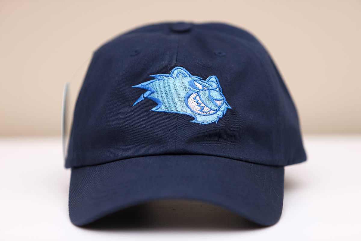 Worcester IceCats Hat – Vintage Ice Hockey
