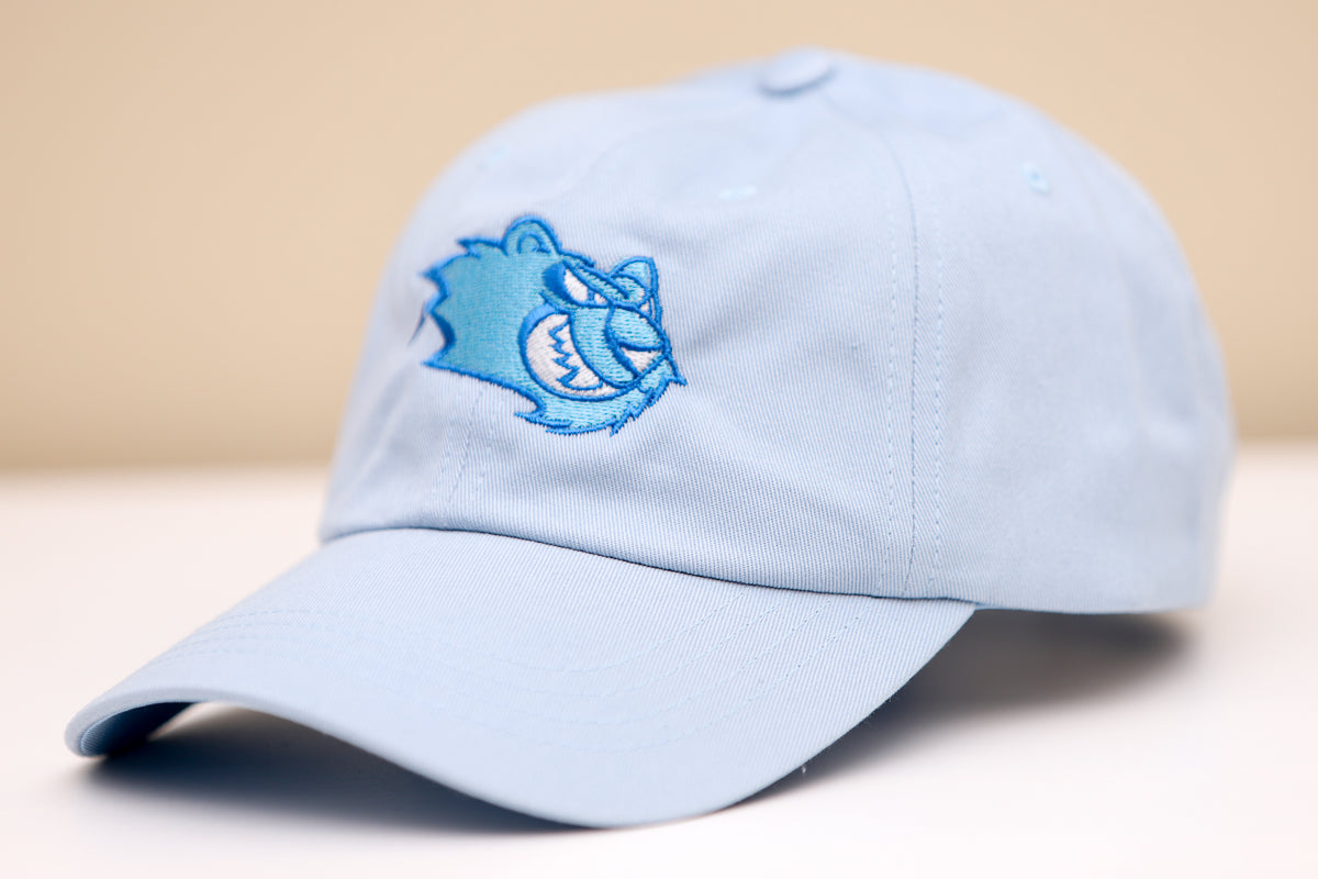 Worcester IceCats Hat – Vintage Ice Hockey
